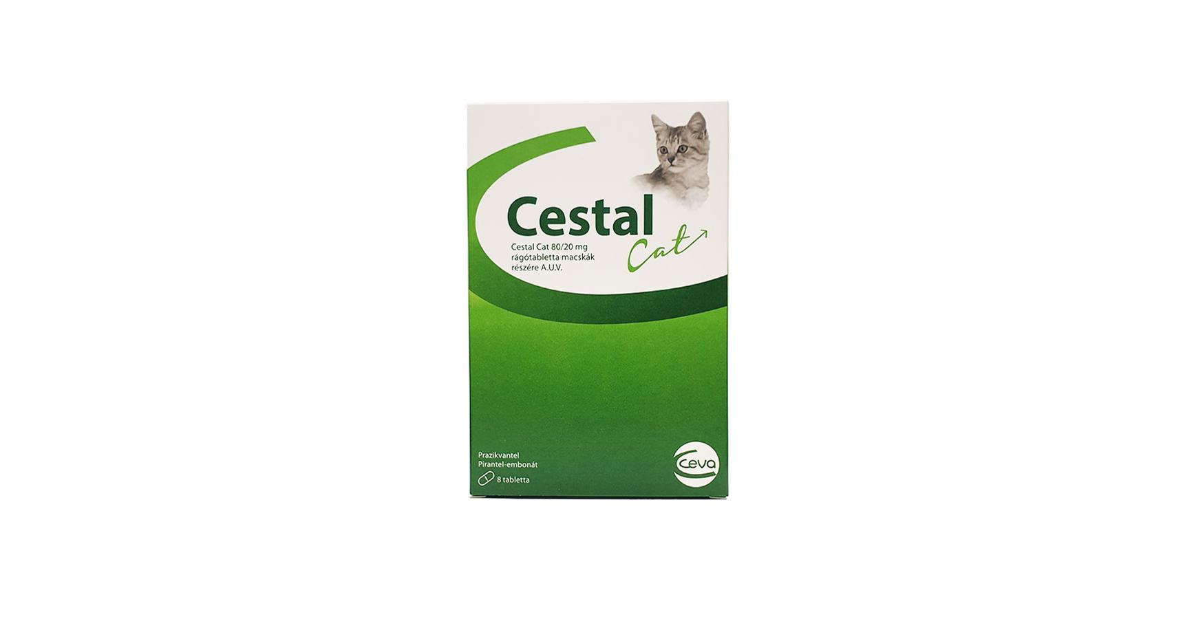 Cestal Cat