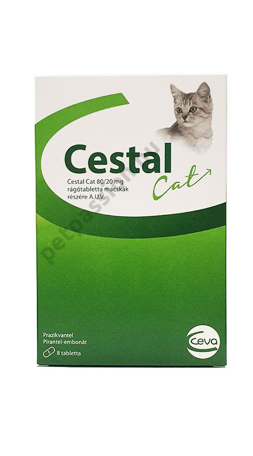 Cestal Cat